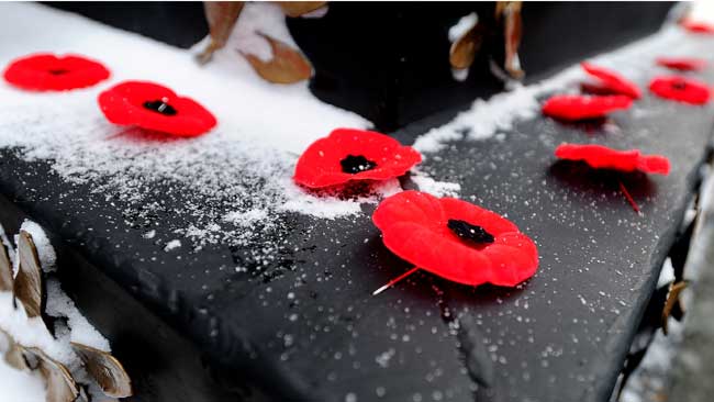 La cérémonie du jour du Souvenir aura lieu dimanche - Courrier Frontenac