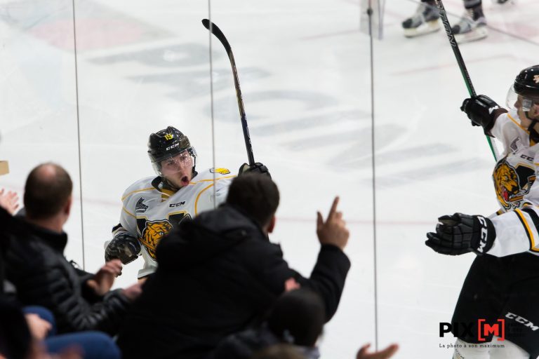 Alexandre Goulet vise le hockey professionnel - Courrier Frontenac