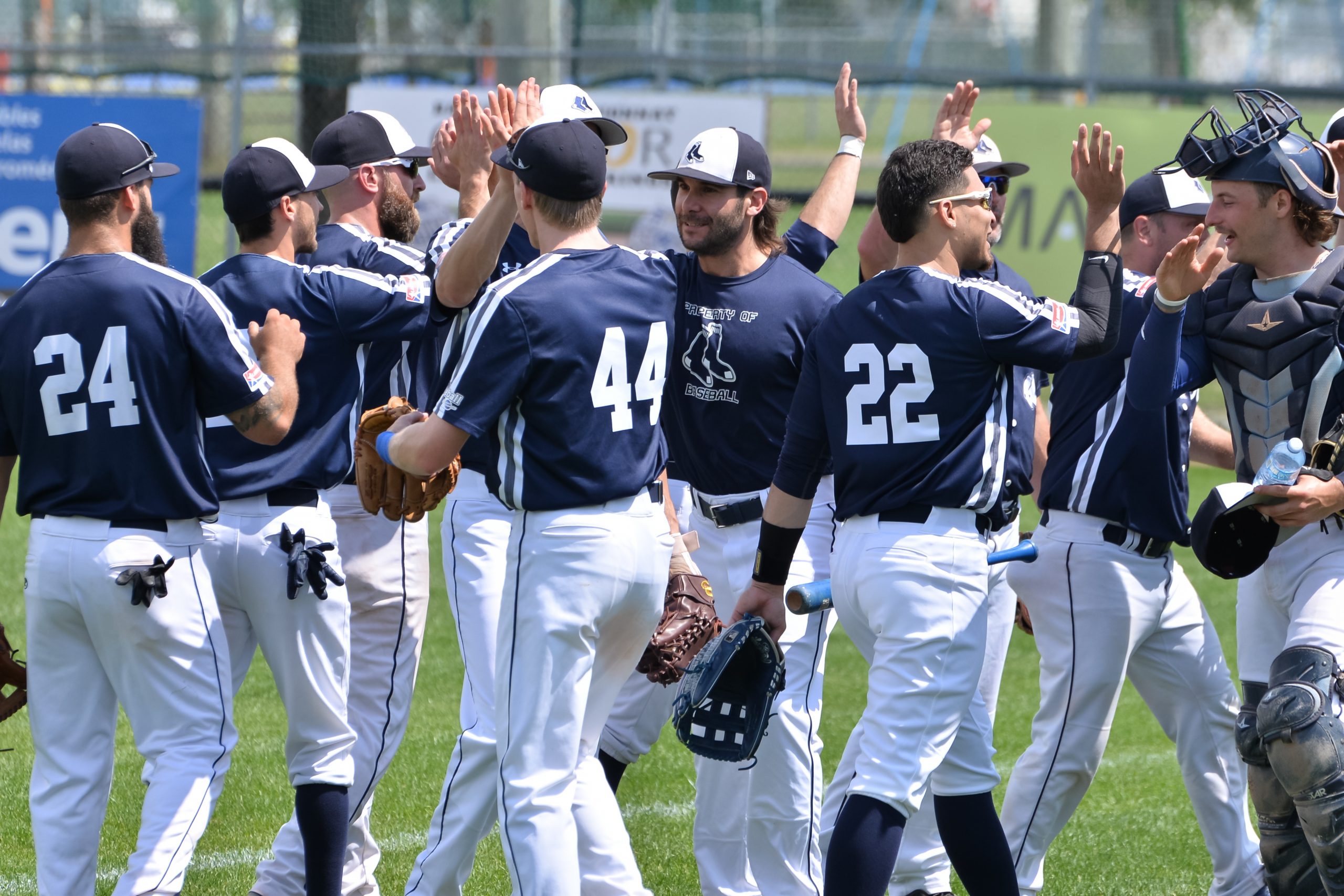 Blue Sox : le match contre Sherbrooke sera complété le 20 août ...