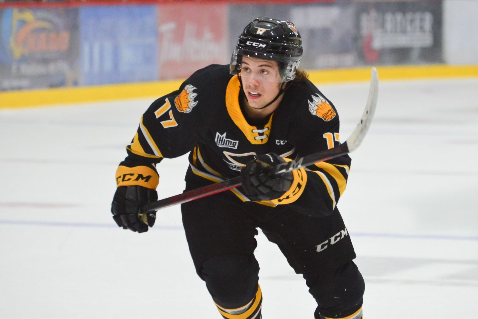 Début de procès pour Nicolas Daigle et Massimo Siciliano - Courrier ...