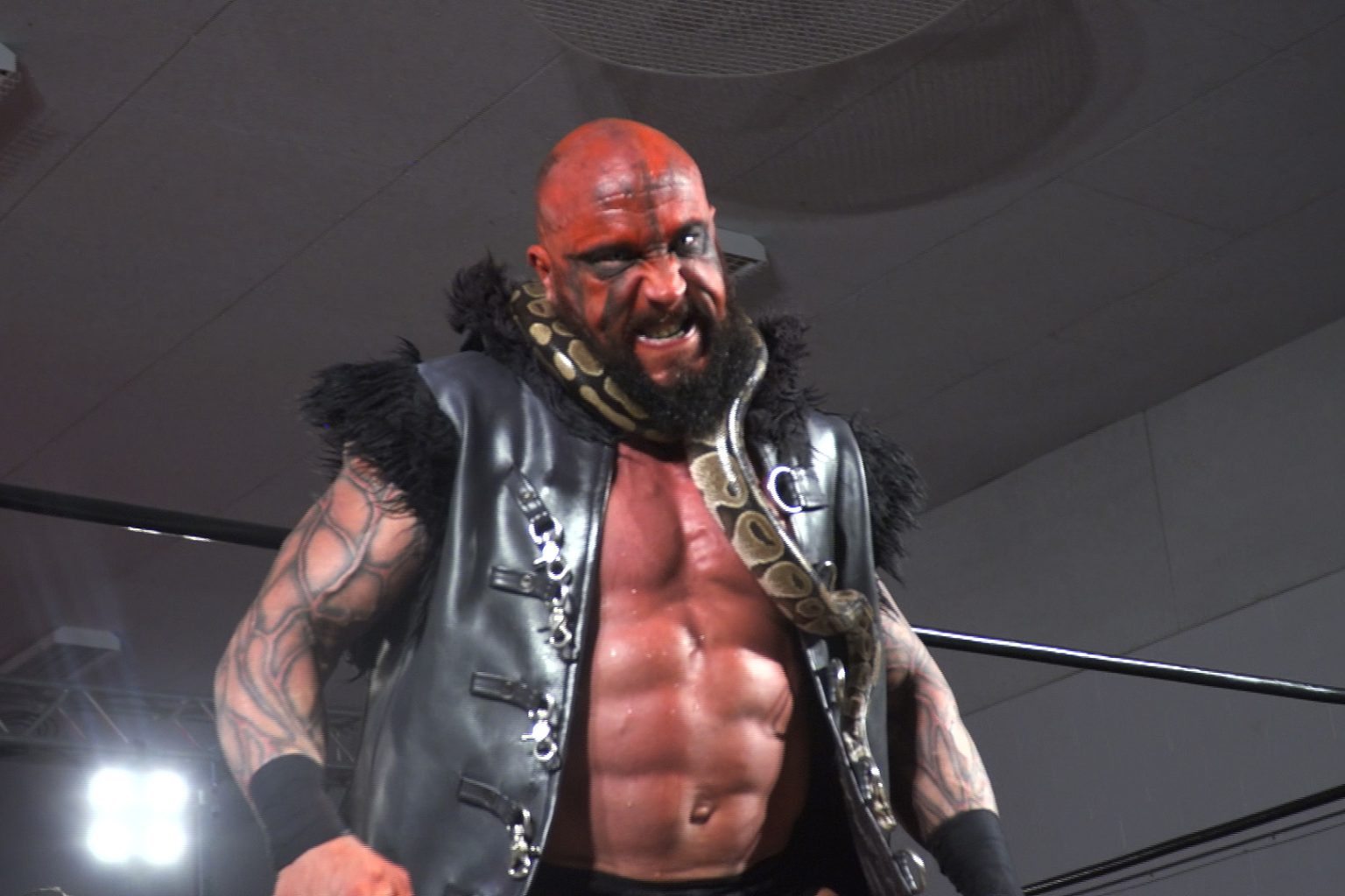 Victory Ring : une soirée de triomphes et de nouveaux champions ...