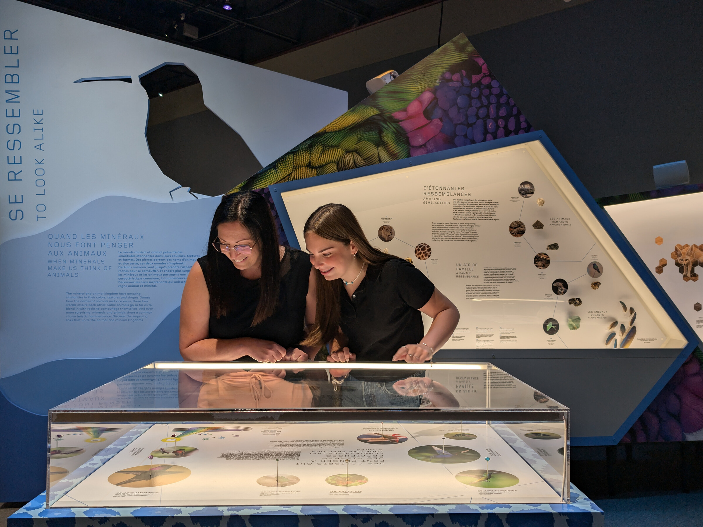 Minéro en safari : une nouvelle exposition du Musée Minéro - Courrier ...