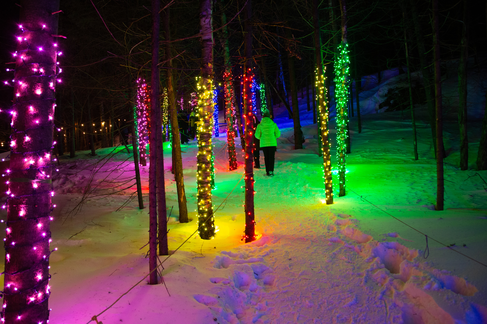 L'expérience Luminata a attiré plus de 3500 personnes - Courrier Frontenac