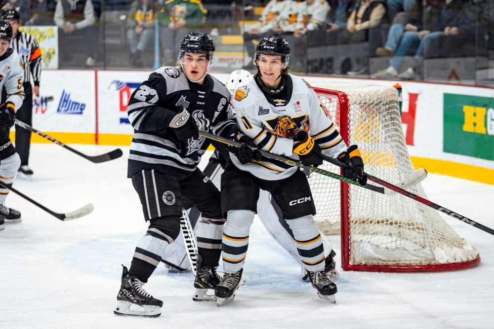 Une deuxième saison dans la LHJMQ pour Maxime Lambert - Courrier Frontenac