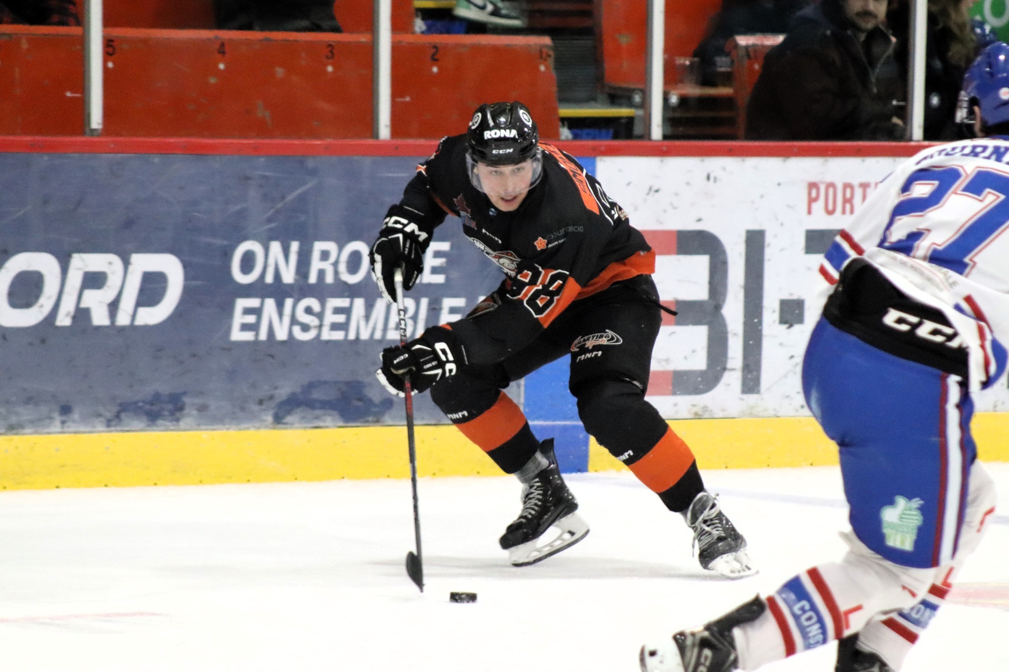 Cinq joueurs de l'Assurancia en nomination pour les trophées de la LNAH ...