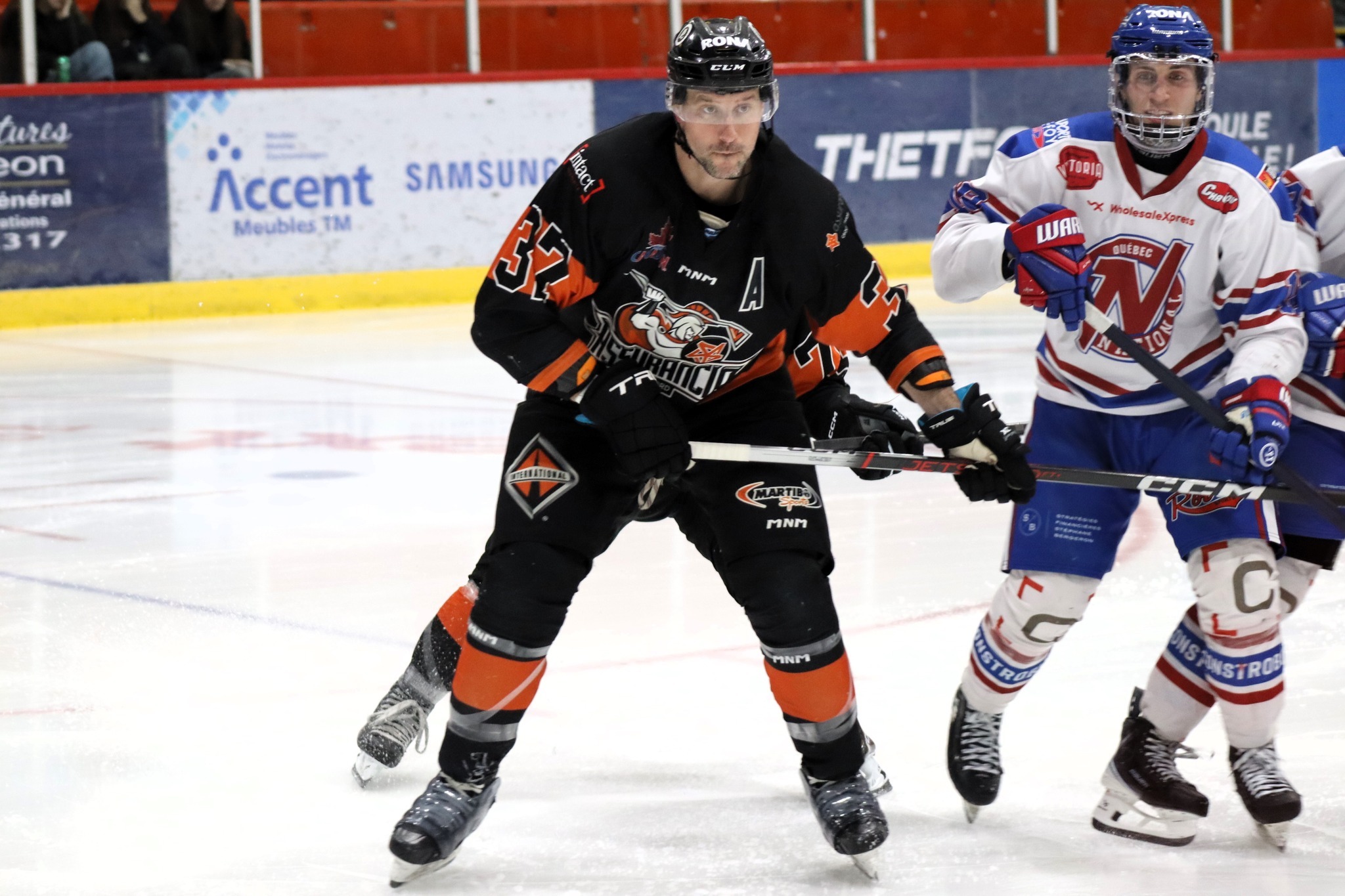 Cinq joueurs de l'Assurancia en nomination pour les trophées de la LNAH ...